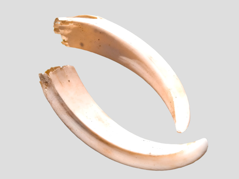 Special Products – Gips Farm Fresh